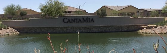 Arizona 55 plus Communities Real Estate